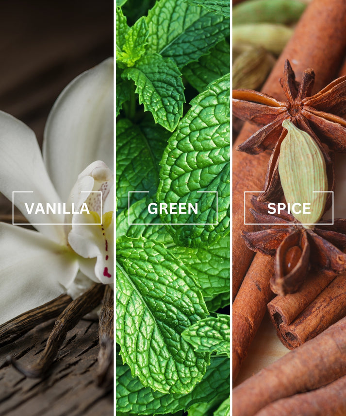 Veros Inspired Perfume Luxury Air Freshener – NOIR